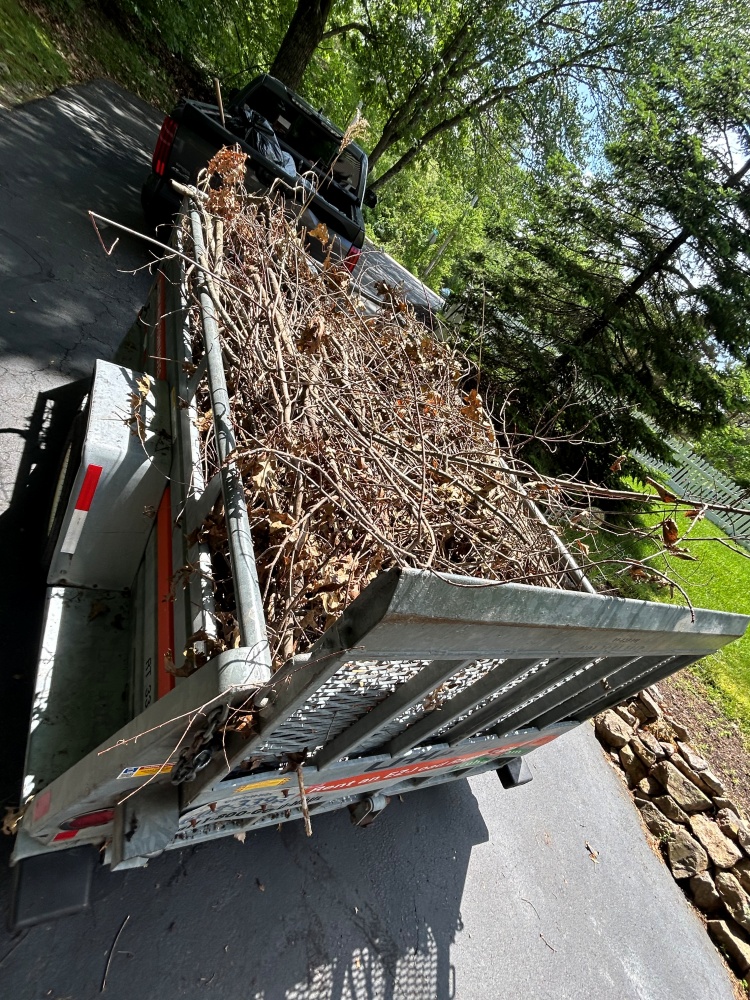 Yard Waste Removal: Tips and Techniques - The Paris Way Junk Removal